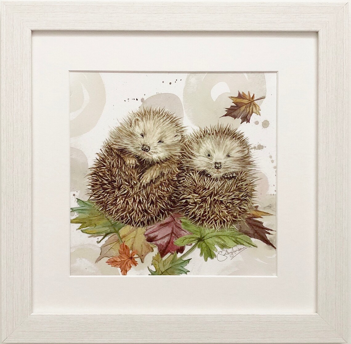 Endangered Collection - Hedgehogs Framed Print - Etsy