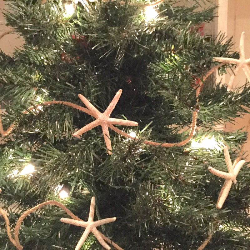 Starfish Garland - Etsy