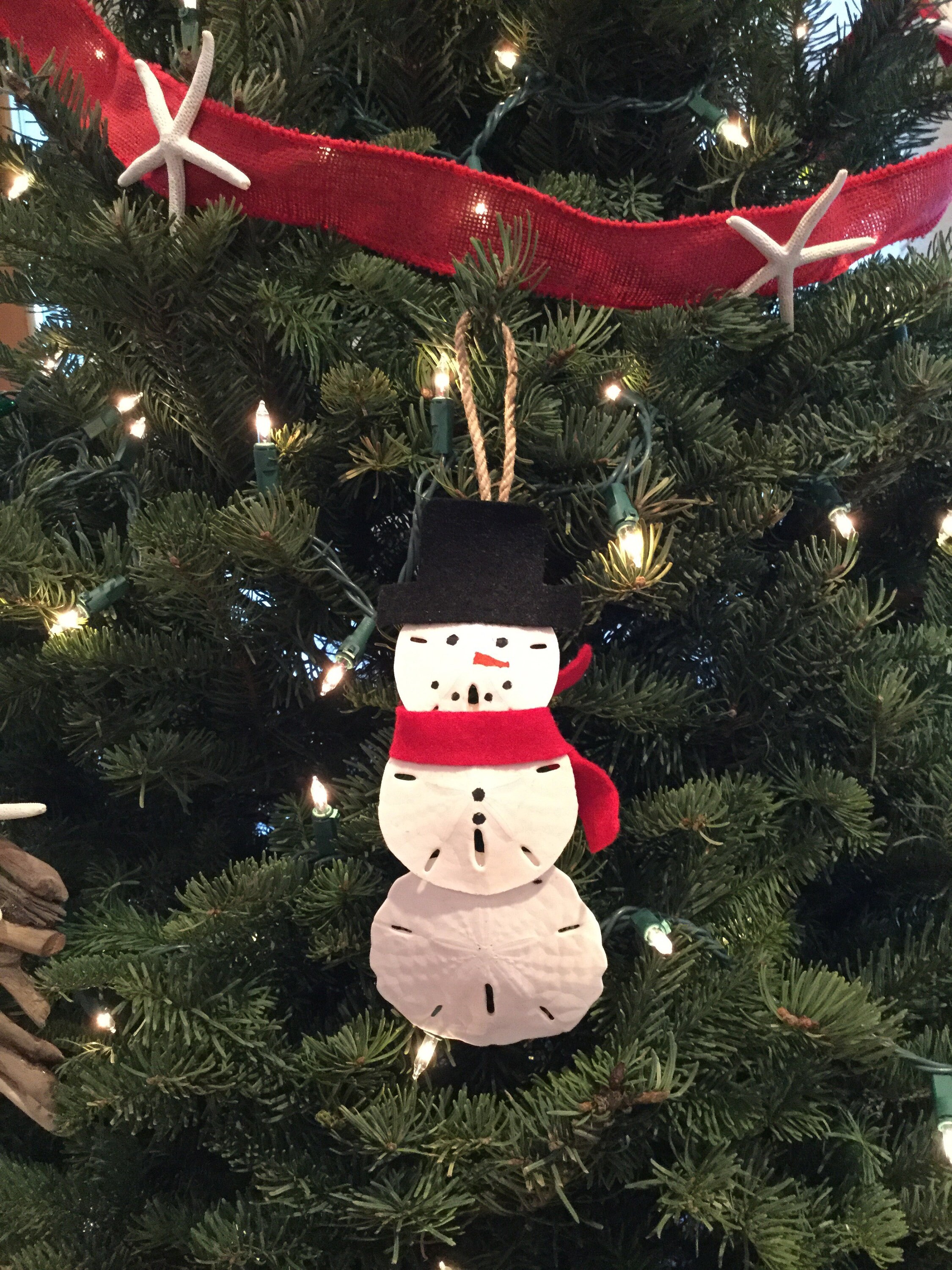 Coastal Christmas Sand Dollar Snowman - Etsy