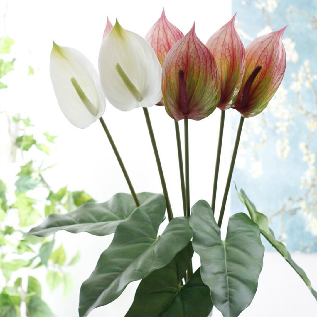 5PCS Artificial Flower Anthurium Home Decoration Store - Etsy