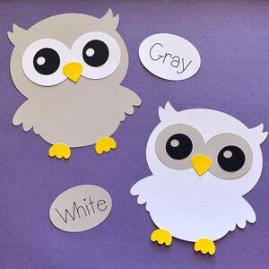 Owl Colors Craft for Preschool Elementary, 11 Owls, Learn Your Colors ...