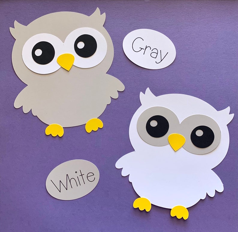 Owl Colors Craft for Preschool Elementary, 11 Owls, Learn Your Colors ...