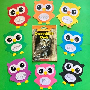 Owl Colors Craft for Preschool Elementary, 11 Owls, Learn Your Colors ...