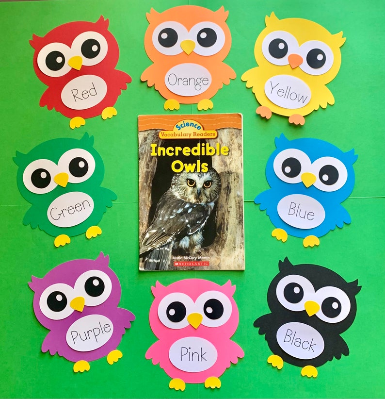 Owl Colors Craft for Preschool Elementary, 11 Owls, Learn Your Colors ...