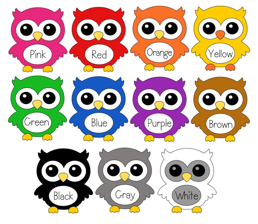 Owl Colors Craft for Preschool Elementary, 11 Owls, Learn Your Colors ...