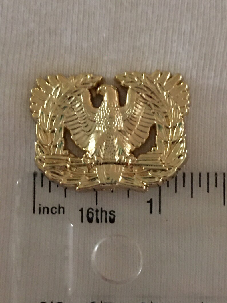 Warrant Officer Rising Eagle Lapel Pin Gold - Etsy