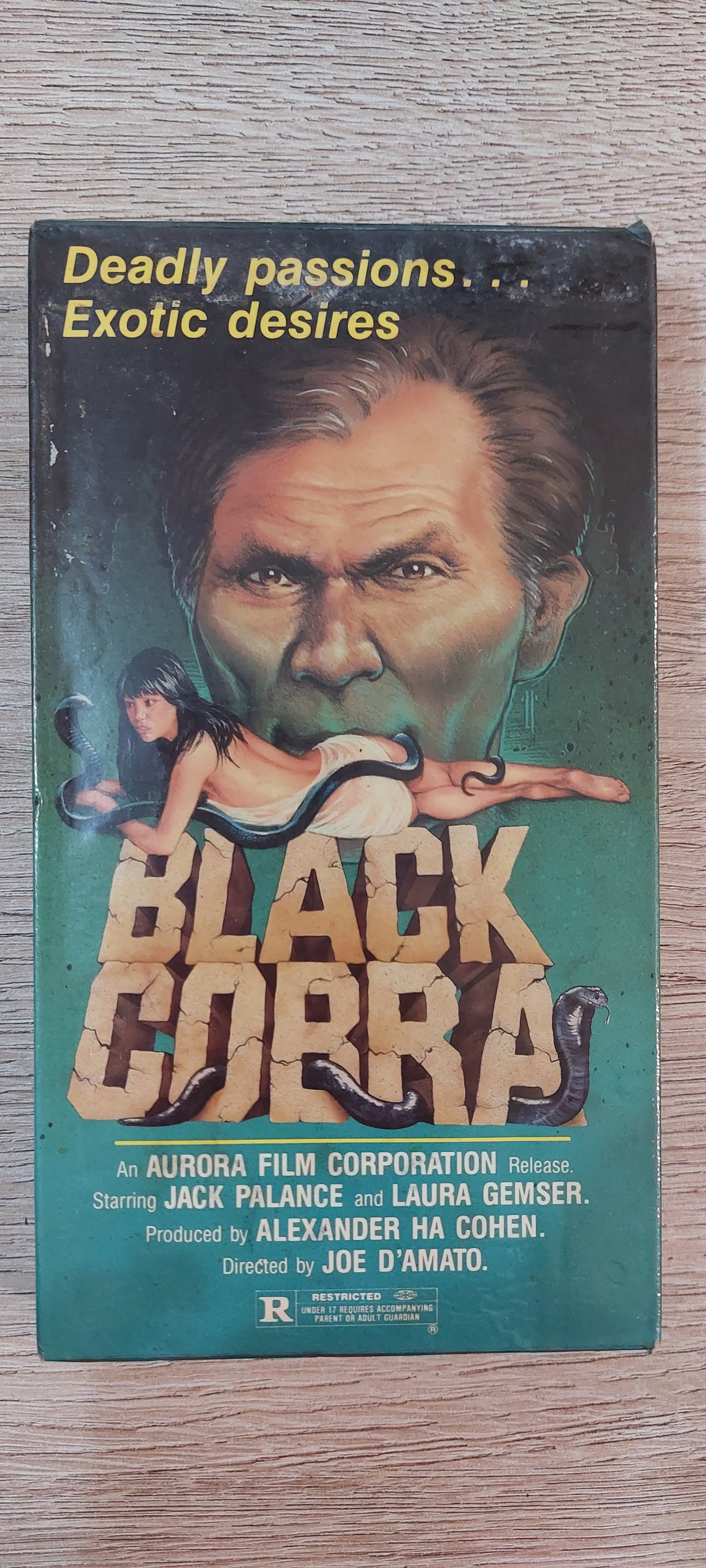 Vintage VHS Collectible Cassette Tapes Gift Film for Collectors SET 2 ...