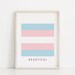 Trans Pride Print/trans is Beautiful Art - Etsy