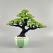 Wire Bonsai Tree Cascade, Art Bonsai Tree, Sculpture Bonsai Tree ...