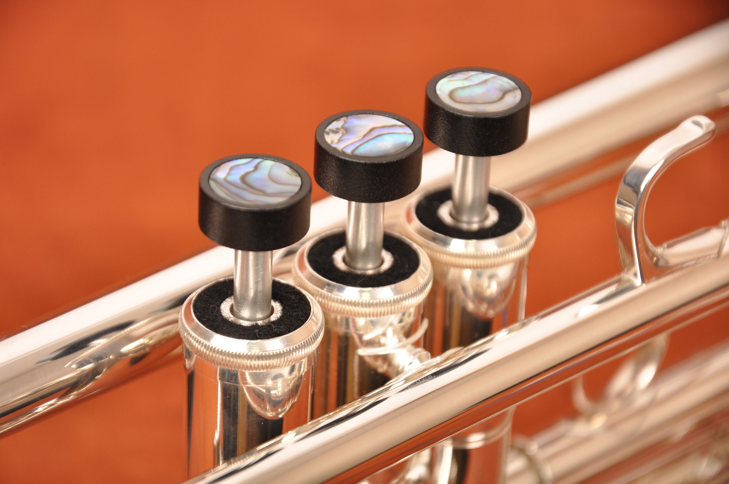 Heavy Custom Trumpet Finger Buttons BLACK Edition With Natural Stones ...