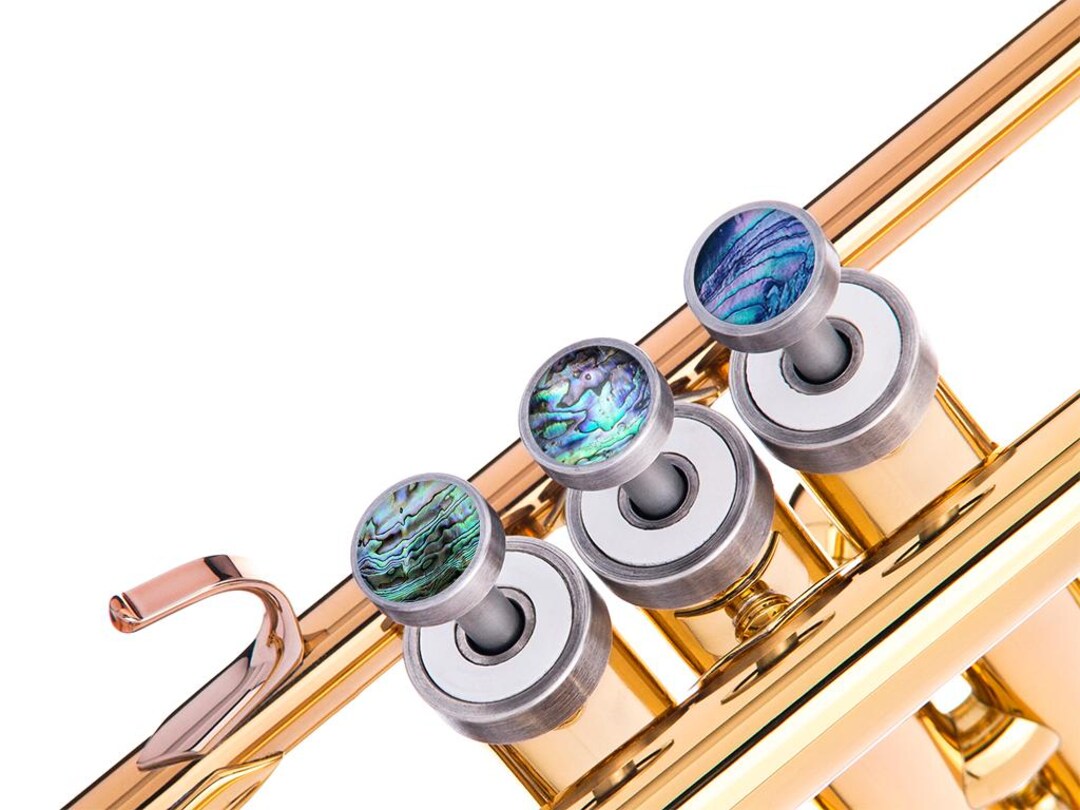 Trumpet Trim Kit. LIGHT. Silver Plated Brushed With Abalone Stone for ...