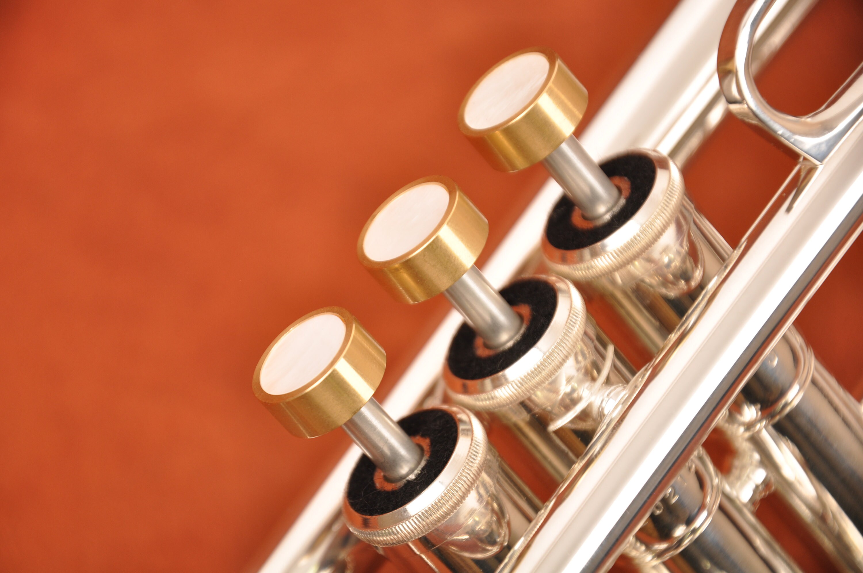 Heavy Custom Trumpet Finger Buttons W Natural Stones for Yamaha, Bach ...