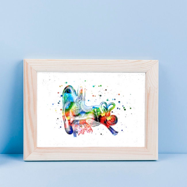 Audiology Art Anatomy Art Watercolor Art Print Human Ear - Etsy