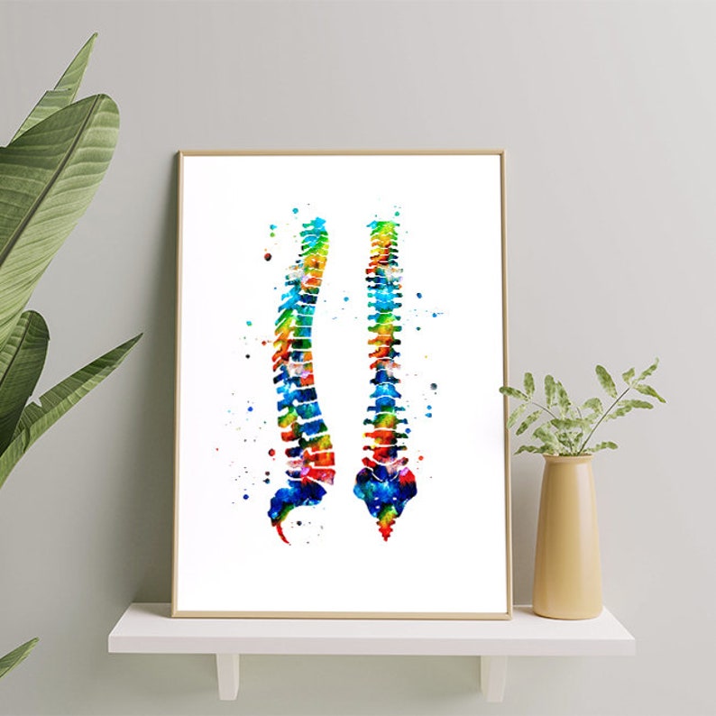 Spine Art Print Anatomy Art Poster Chiropractic Art Print - Etsy