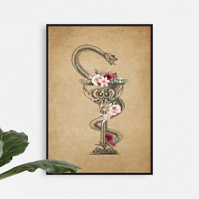 Pharmacist Caduceus Symbol, Bowl of Hygeia, Floral Style Print ...