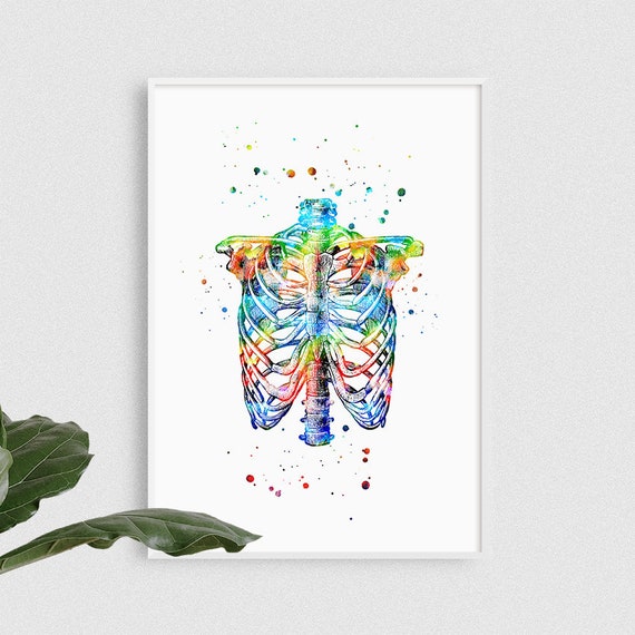 Skeleton Rib Cage Anatomy Art Watercolor Print Human Chest | Etsy