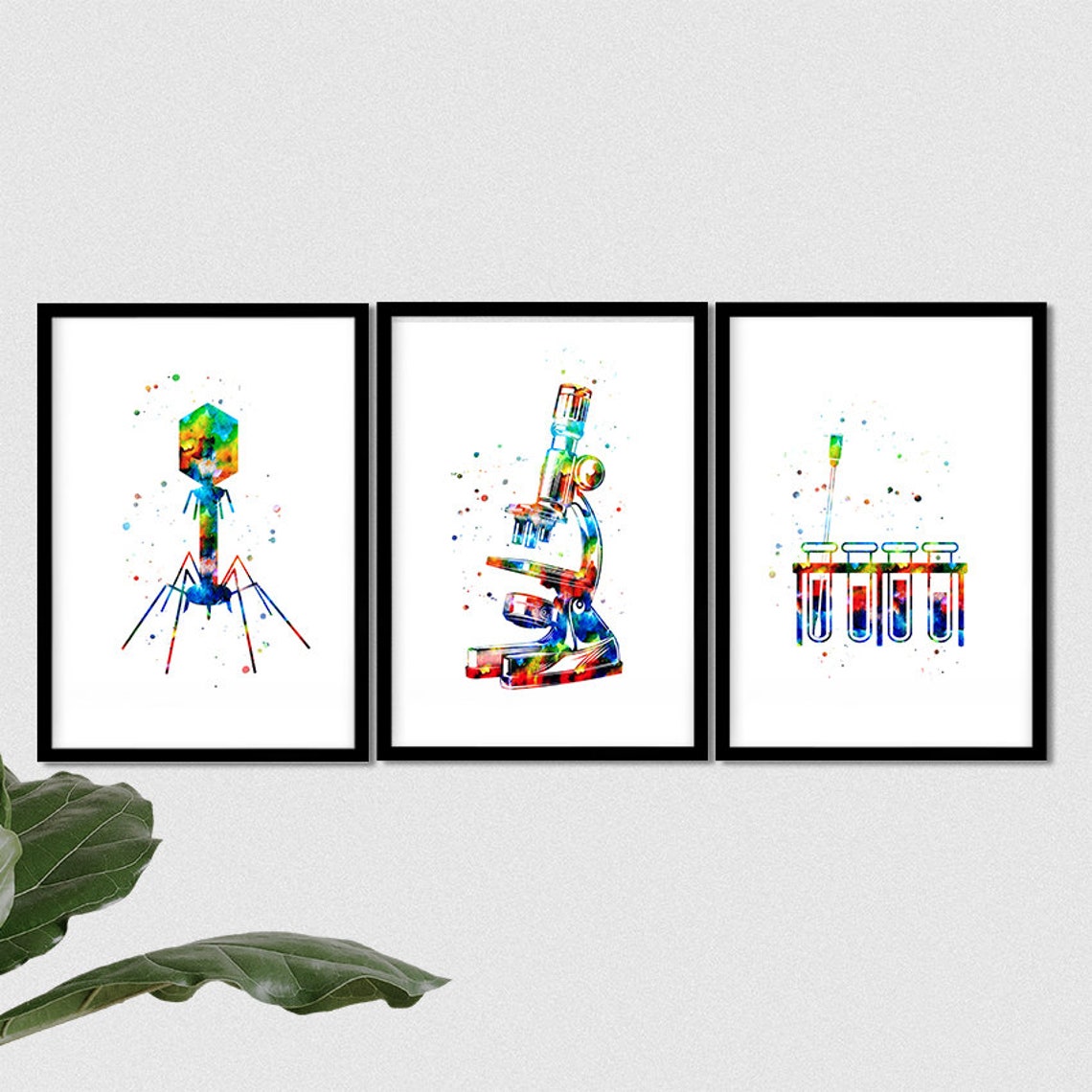 Microbiology Set of 3 Science Art Prints Microbiologist - Etsy