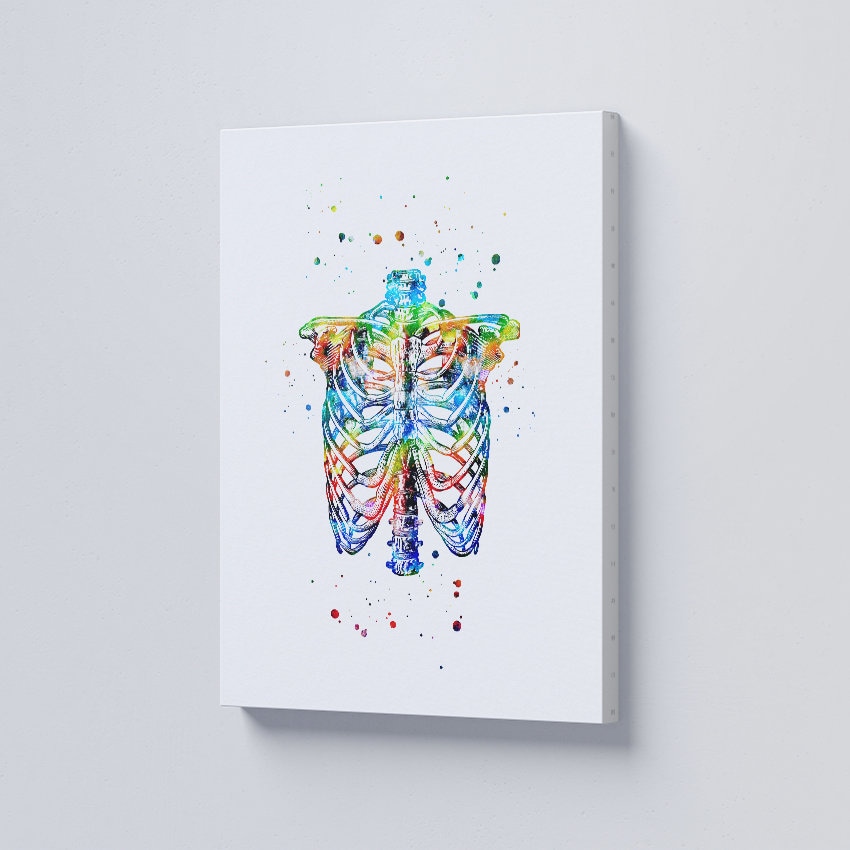 Skeleton Rib Cage Anatomy Art Watercolor Print Human Chest - Etsy