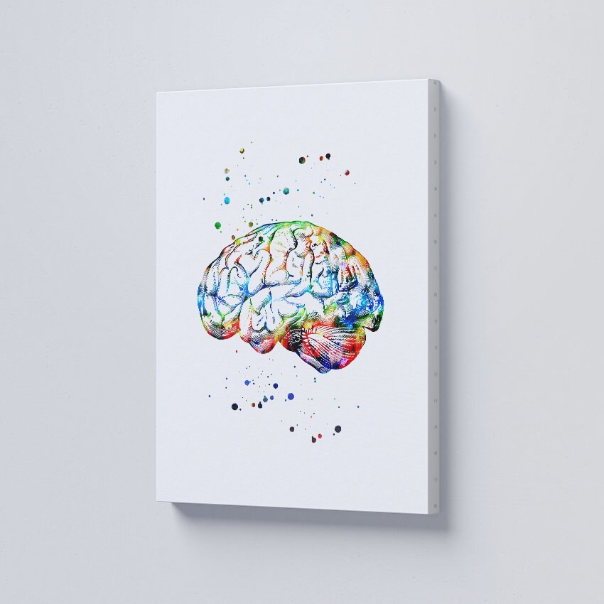 Human Brain Print Anatomy Art Decor Anatomical Brain Art - Etsy
