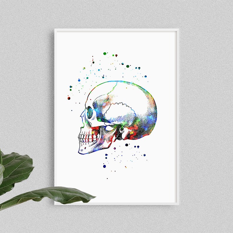 Human Skull Art Watercolor Print Anatomy Poster Med Student - Etsy