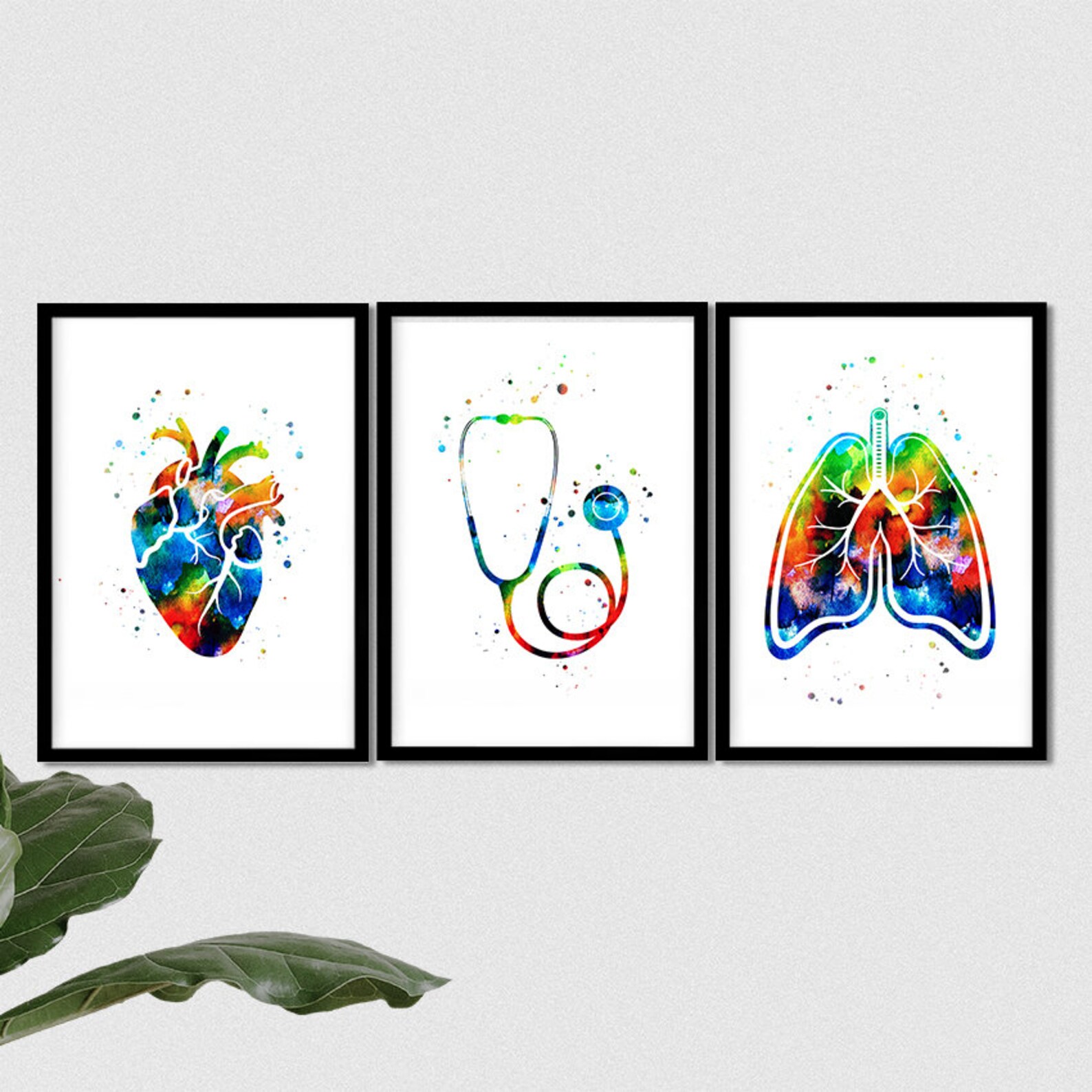 Family Physician office decor Set of 3 medical art prints | Etsy
