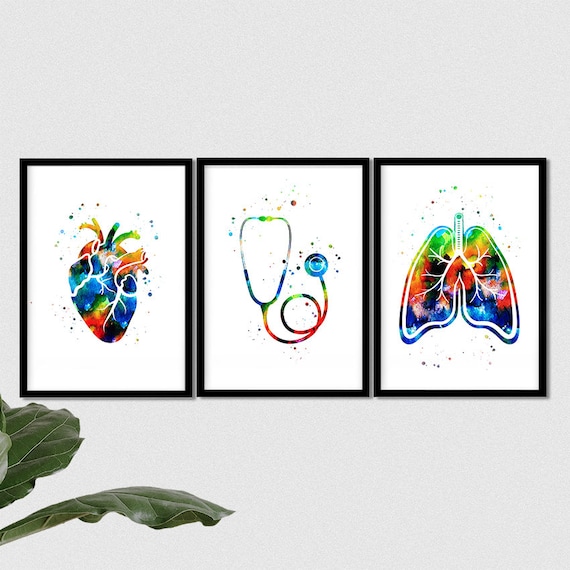 Family Physician Office Decor Set of 3 Medical Art Prints - Etsy