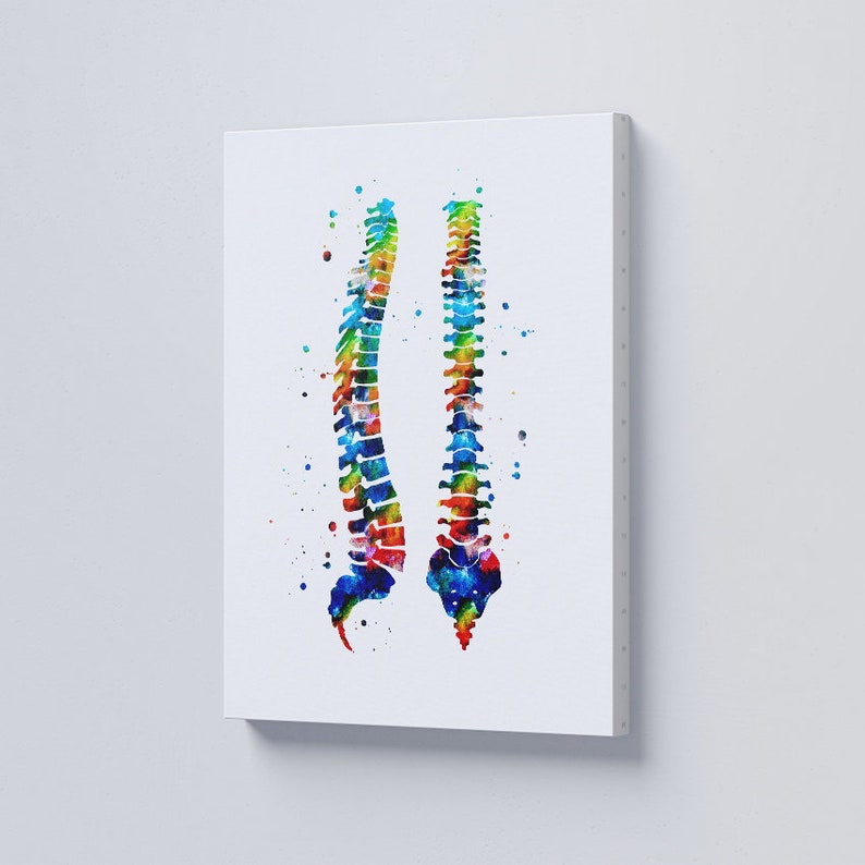 Spine Art Print, Anatomy Art Poster, Chiropractic Art Print, Graduation ...