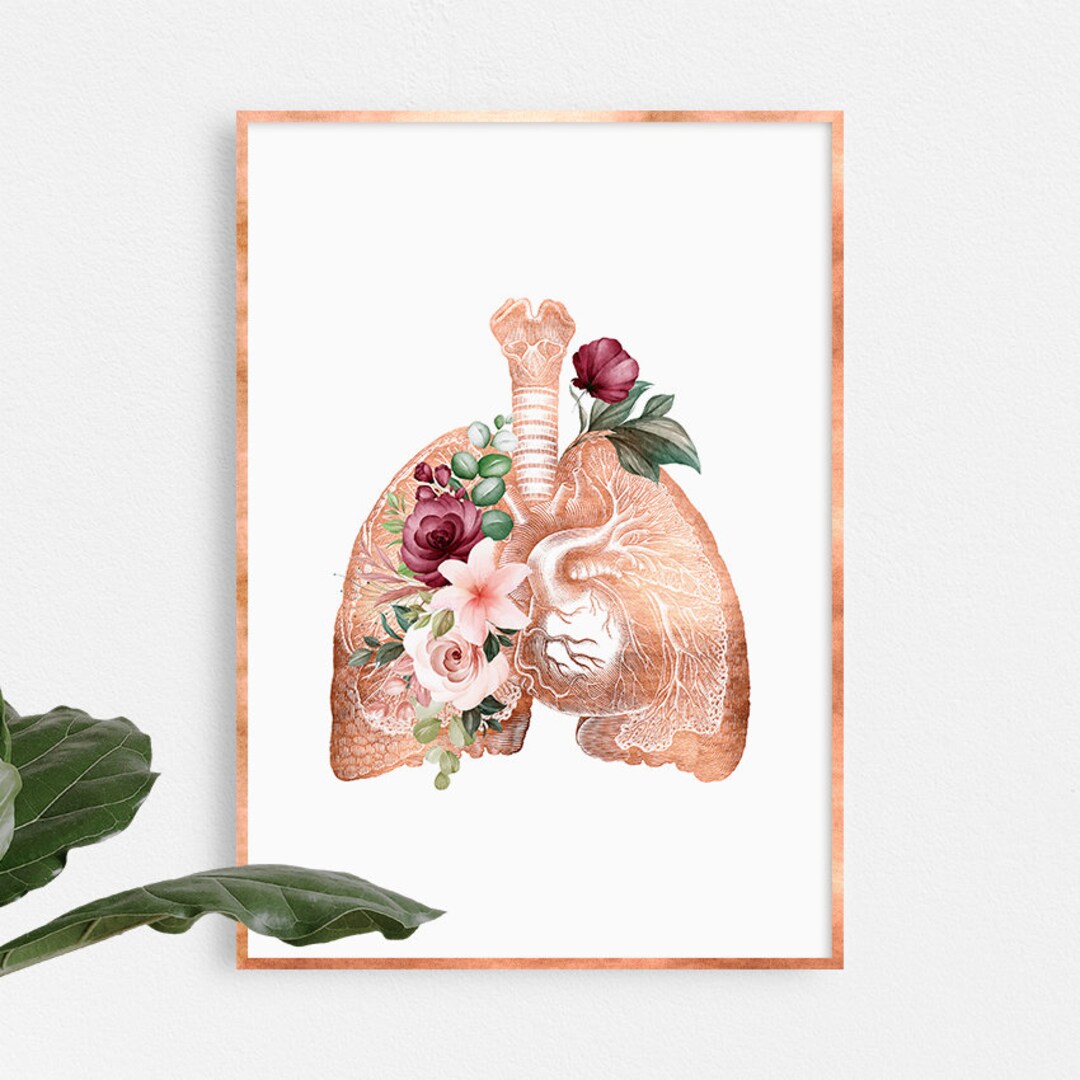Lungs Art, Floral Human Anatomy Art Print, Medical Poster ...