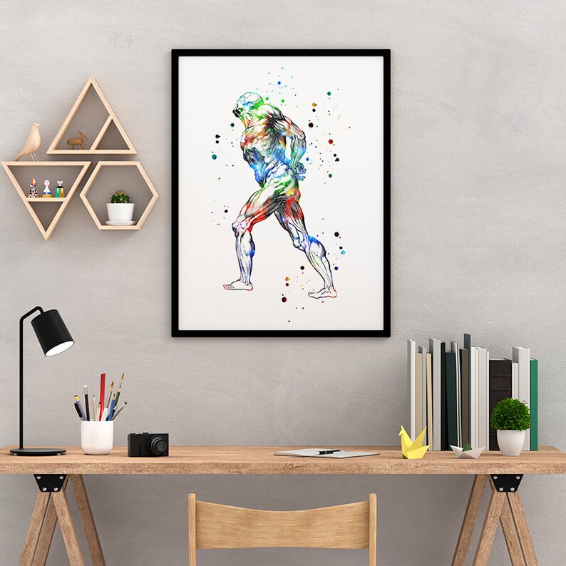 Muscular System Anatomy Art Poster Sports Medicine Gift | Etsy