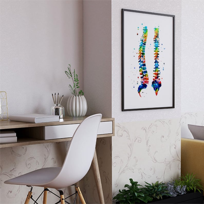 Spine Art Print Anatomy Art Poster Chiropractic Art Print - Etsy