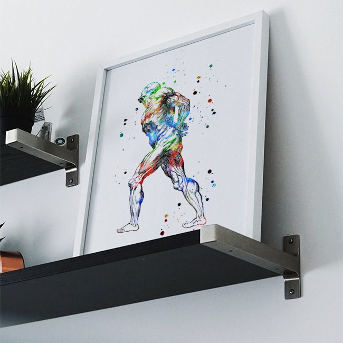 Muscular System Anatomy Art Poster Sports Medicine Gift | Etsy