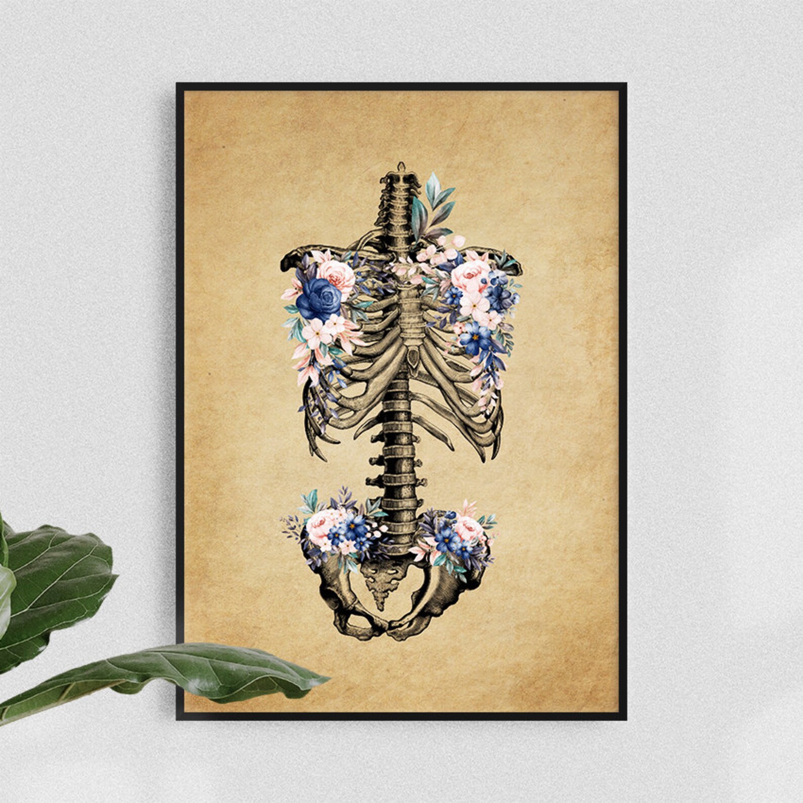 Skeleton Torso Chiropractic Floral Art Print, Human Skeletal System ...