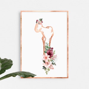 Femur Art Print, Femoral Head Poster, Floral Anatomy Art, Medical ...