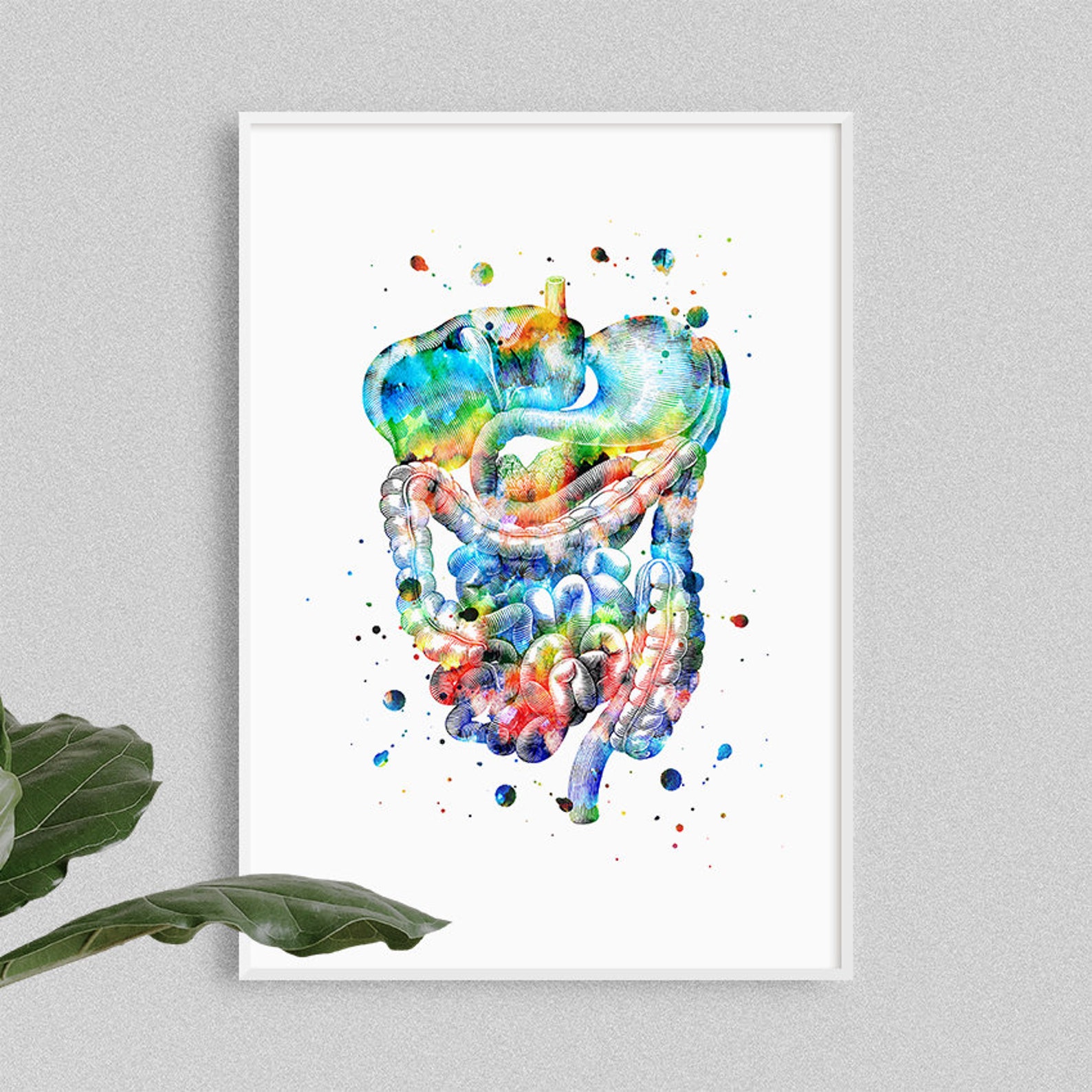 Digestive System, Anatomy Art, Medical Gift, Gastroenterologist Gift - Etsy