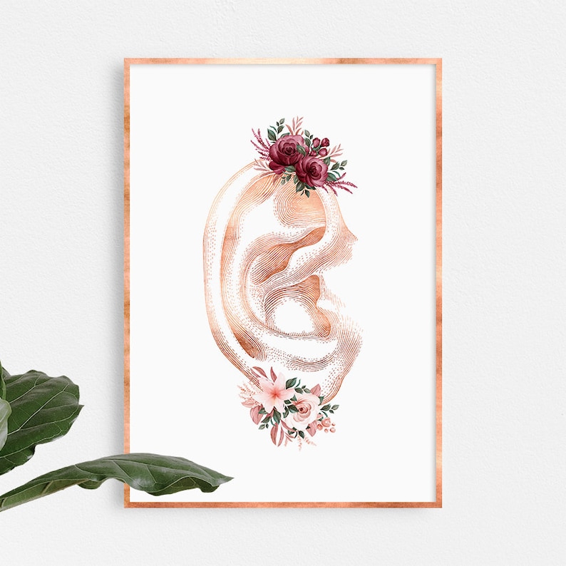 Human Ear Anatomy Art Print, Audiology Art, Outer Ear the Auricle ...