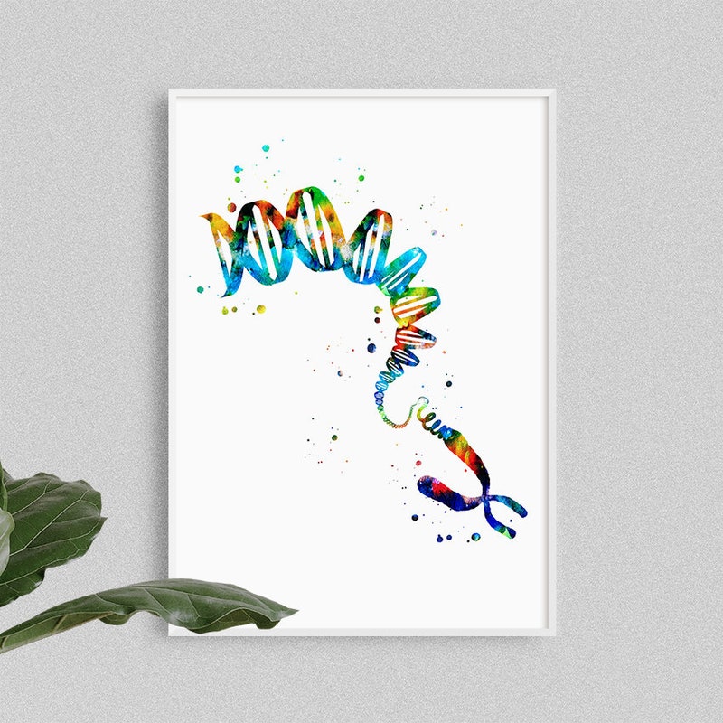 Genetics - Etsy