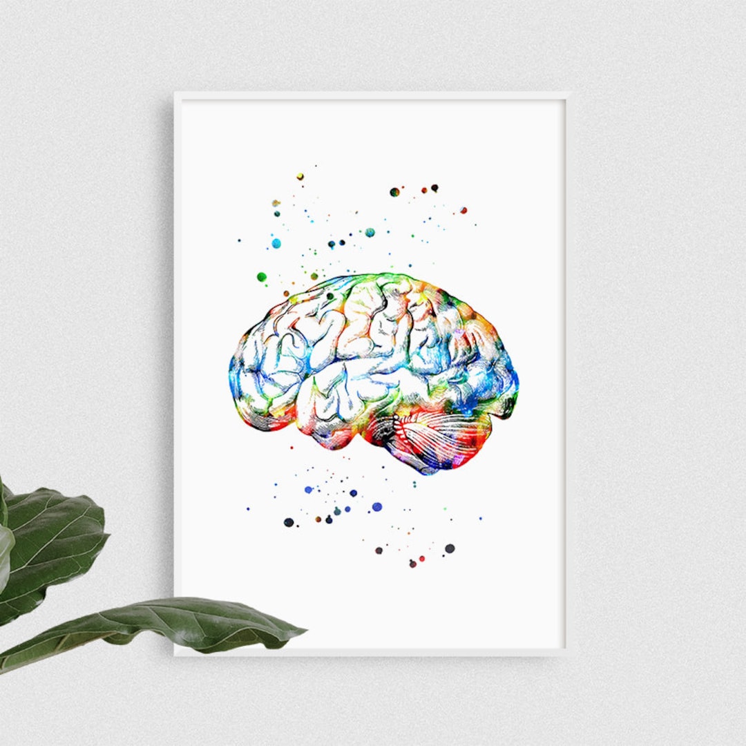 Human Brain Print Anatomy Art Decor, Anatomical Brain Art Medical ...