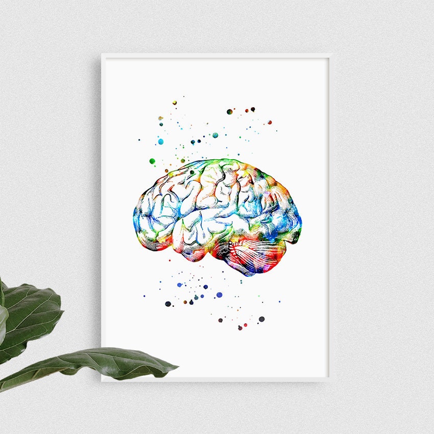 Human Brain Print Anatomy Art Decor, Anatomical Brain Art Medical ...