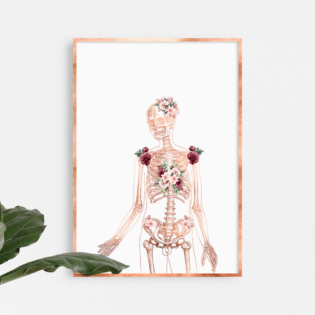 Human Skeleton Floral Anatomy Art Print, Medical Poster for Doctor ...