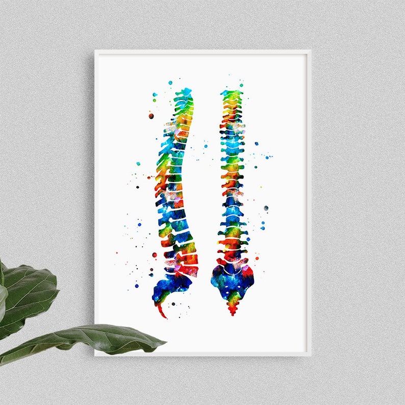 Spine Art Print Anatomy Art Poster Chiropractic Art Print - Etsy