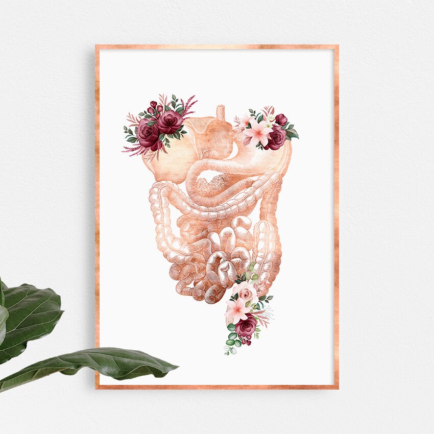 Gastroenterologist Gift, Anatomy Art Print, Digestive System, Doctor ...