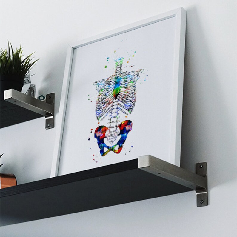 Human Skeleton Torso Watercolor Print Anatomy Art - Etsy