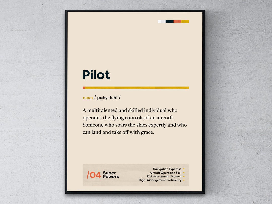 Pilot Definition Poster, Funny Modern Office Gift, Aviator Coworker ...