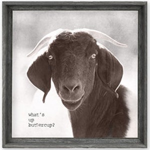 What's up Buttercup? Wall Art - Etsy