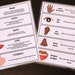 Human Body Printable Package, Flashcards, Digital Download, the Human ...