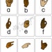 ASL Alphabet Flashcards Flash Cards ASL Flashcards Pre-k - Etsy