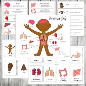 Human Body Printable Package, Flashcards, Digital Download, the Human ...