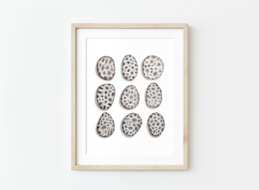 Petoskey Stone Watercolor Print: Lake Michigan Rock Art - Etsy