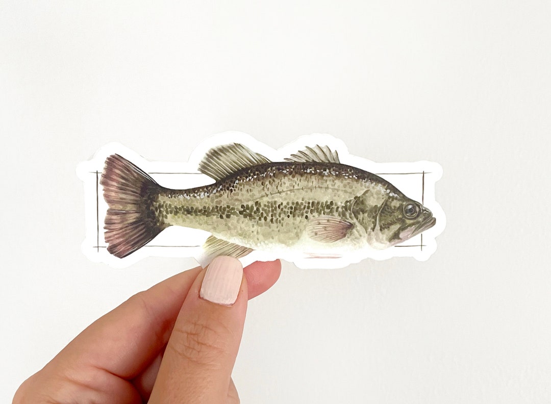 Smallmouth Bass Vinyl Sticker, Waterproof Fish Sticker, Sticker, Angler ...