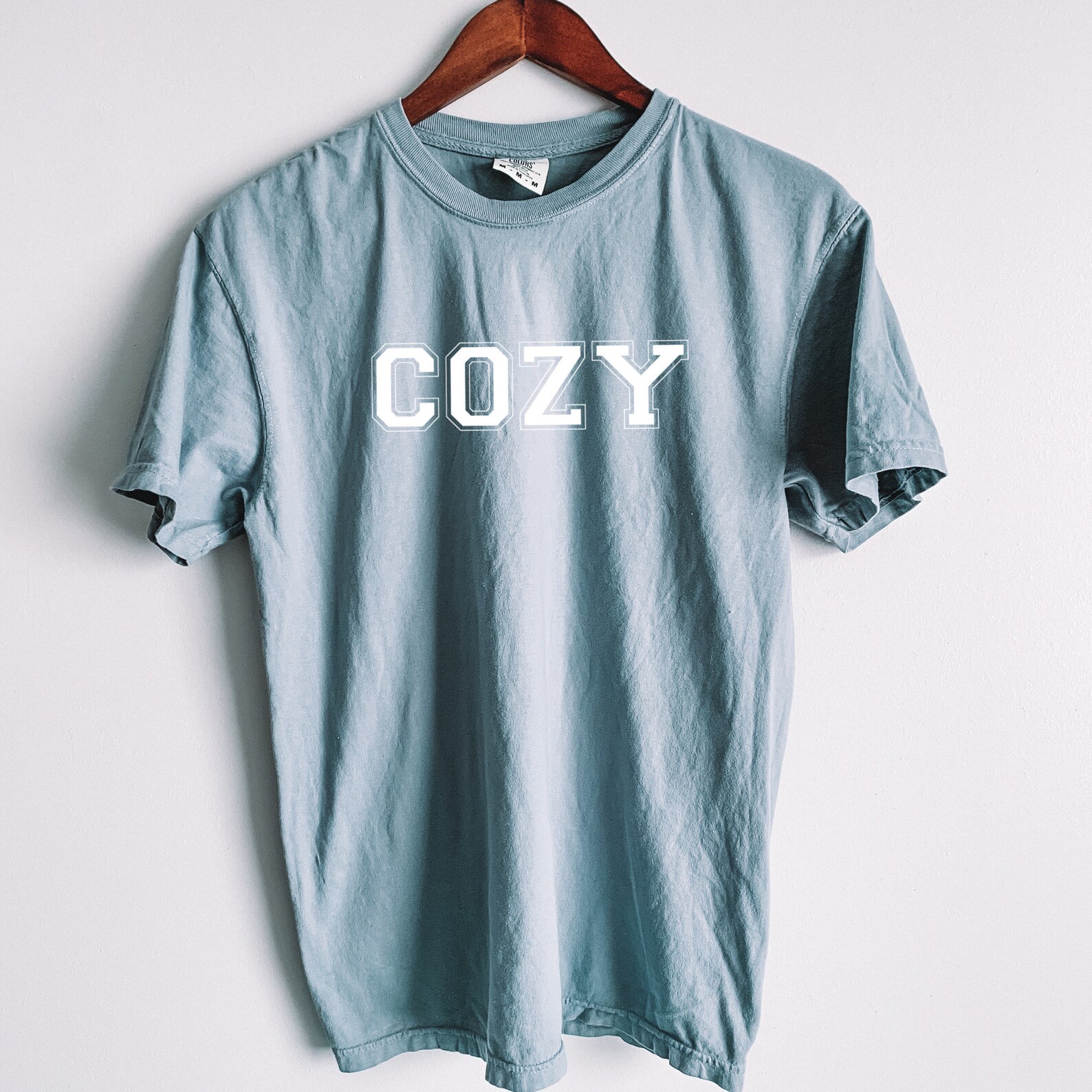 Cozy Graphic Tee Comfort Colors T Shirt Comfy T Shirt Cute Etsy